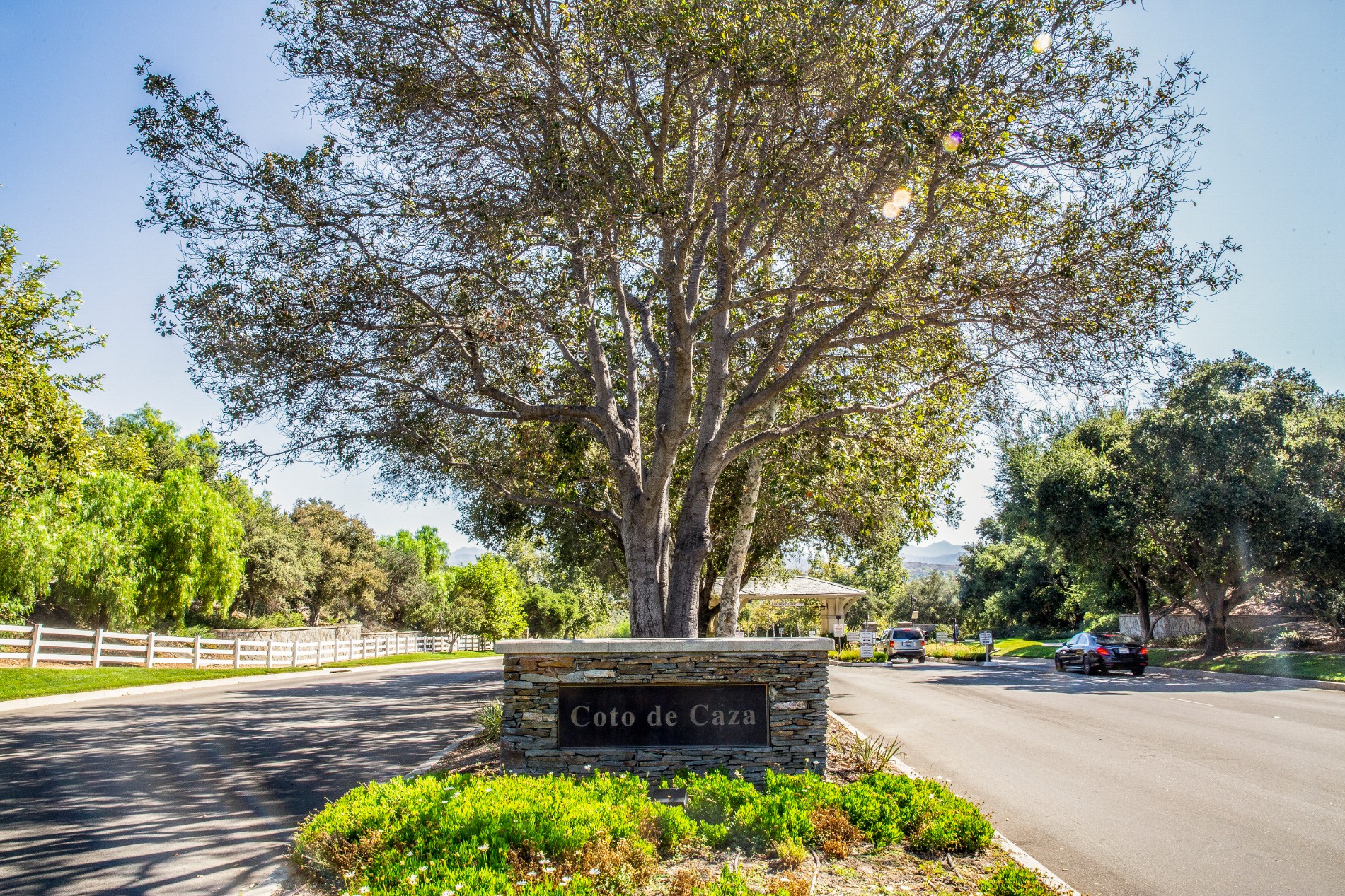 Ladera Ranch Real Estate Trends | Surterre Properties