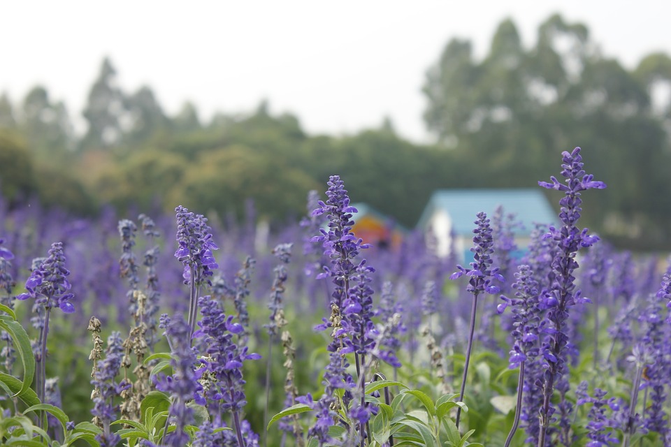 Zip Code: 13476,13477 - Area Info | Kay Real Estate, Inc.