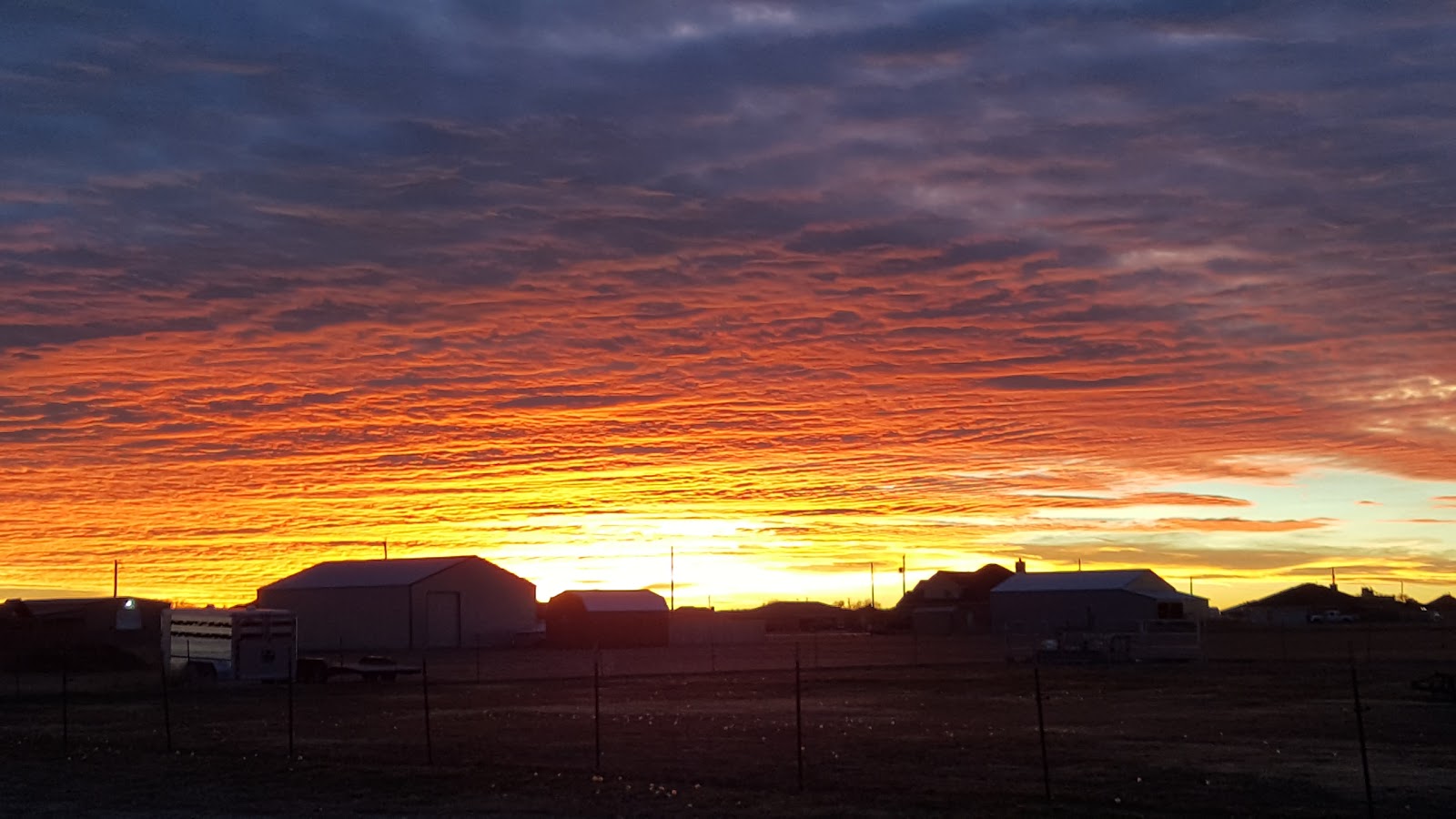 Bushland Community Guide | MGroup