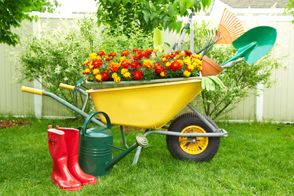 5 Simple Steps to Prep Your Lawn for Spring
