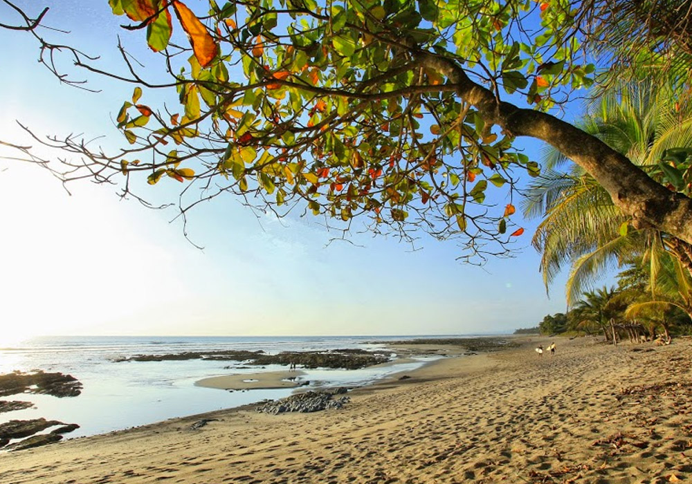 What categories of land exist under Costa Rican law?