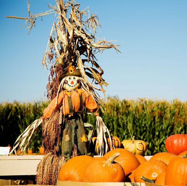 Fall Fairs & Festivals