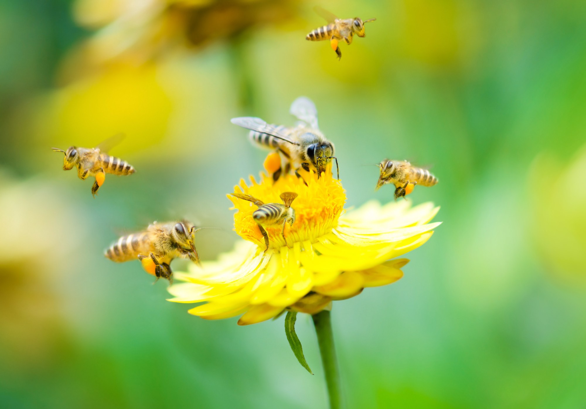 5 Ways To Celebrate Earth Day In Denver Denver Lifestyle Real 5-ways-to-celebrate-earth-day-in-denver-denver-lifestyle-real