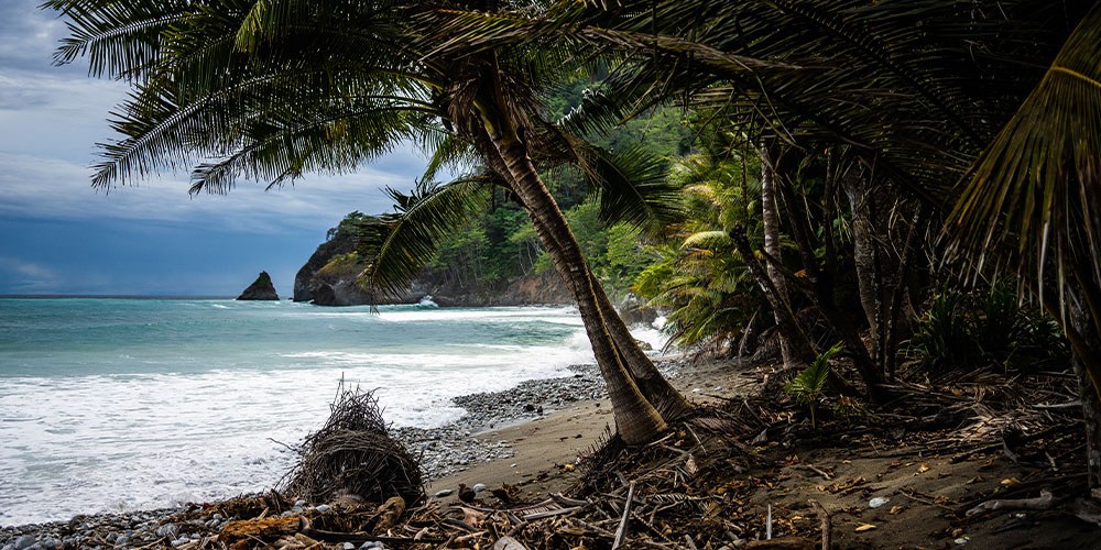 Carate Beach is one of Costa Rica’s uncut gems | Blog ...
