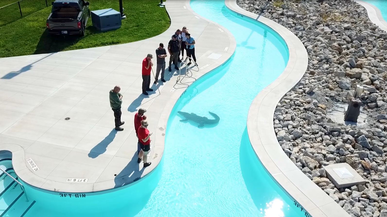Alligator from Scovill Zoo Takes a Swim in the Lazy River at Splash Cove