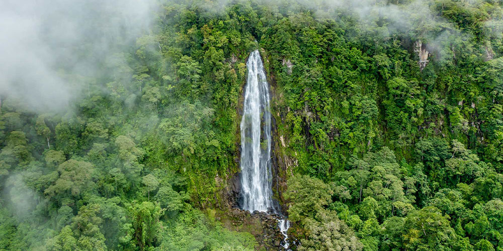 Waterfall to Waterfall farm: An ecological masterpiece