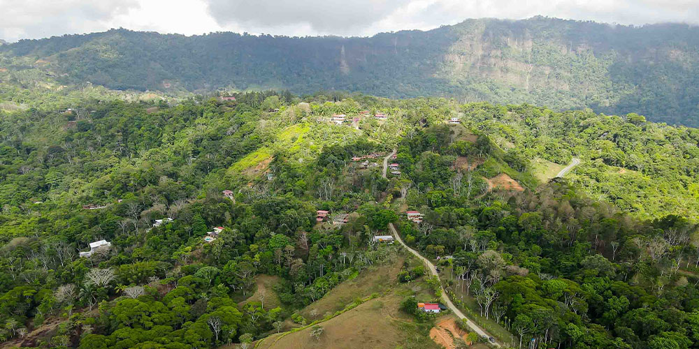 Tinamaste: Off-the-grid life personified