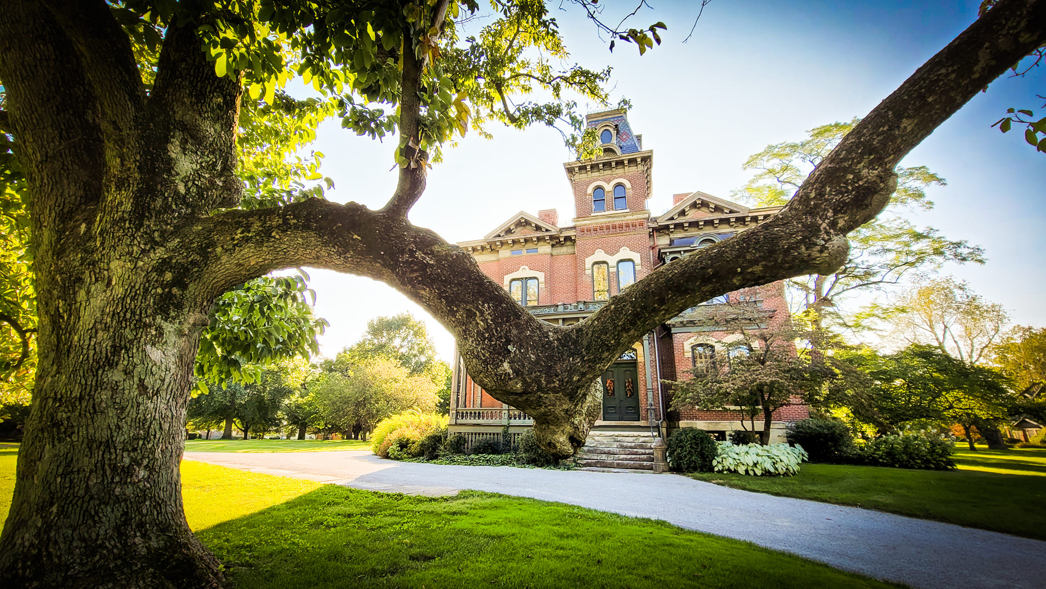 Decatur Loses Iconic Tree at the James Millikin Homestead