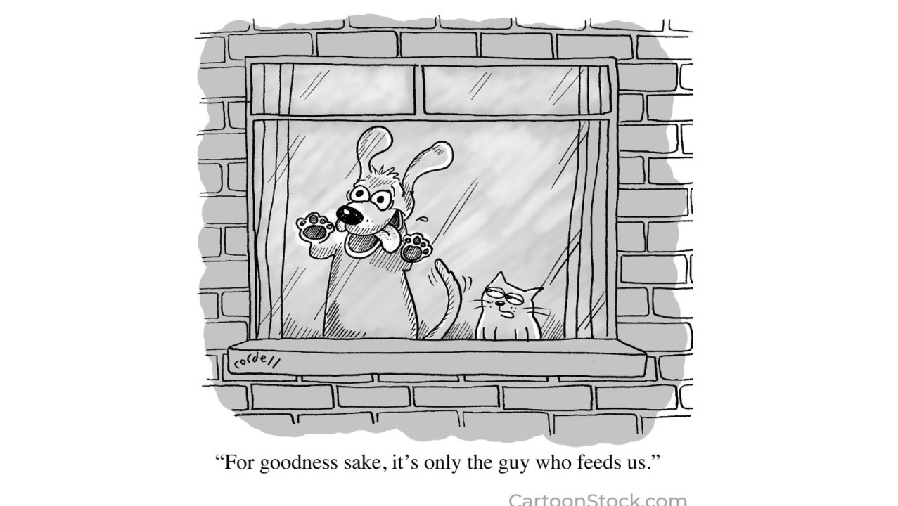 Mindful Monday - Expectation Management - The Power | LAER BLOG