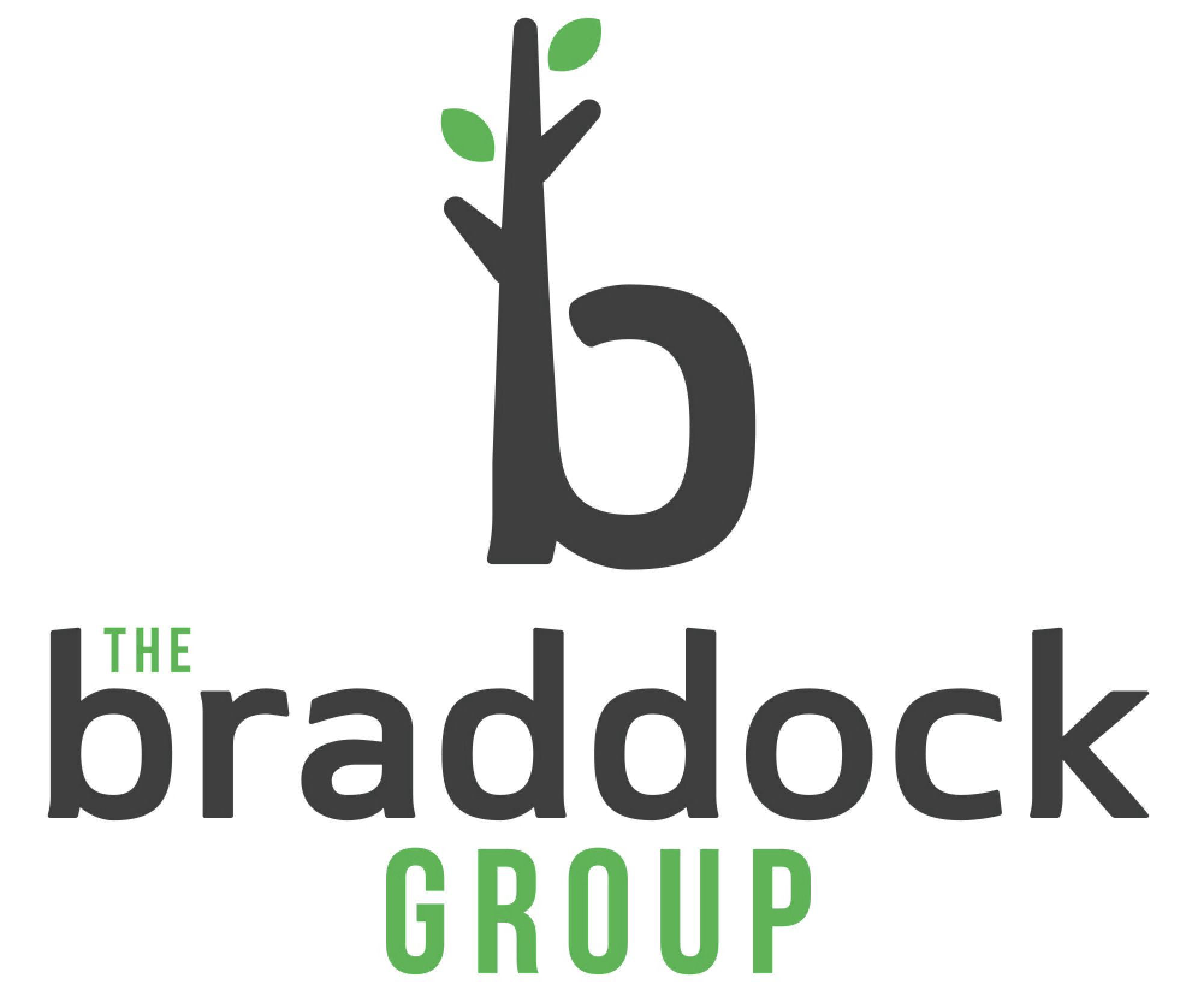 The Braddock Group, LLC