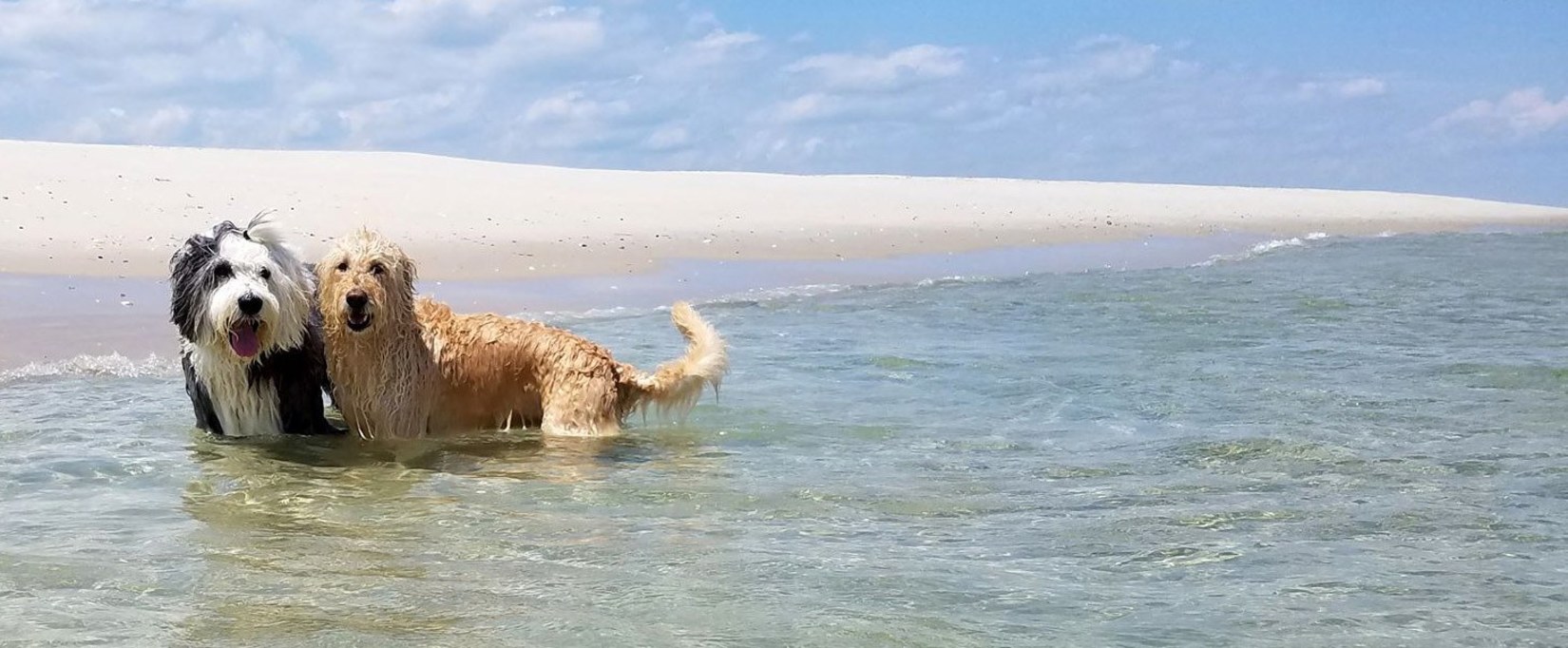 Crossroads Realty Inc.