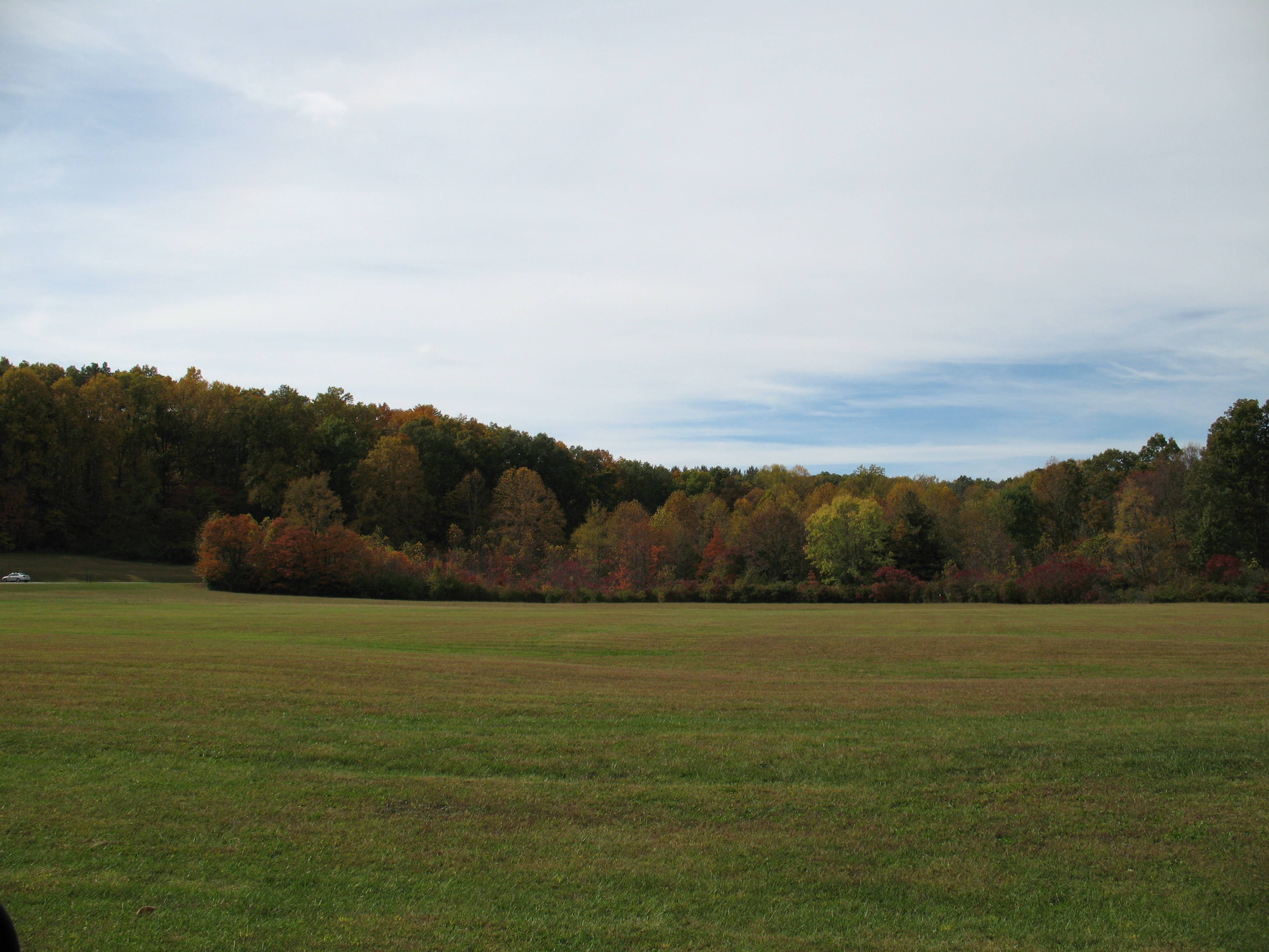 The Phil Shively Team